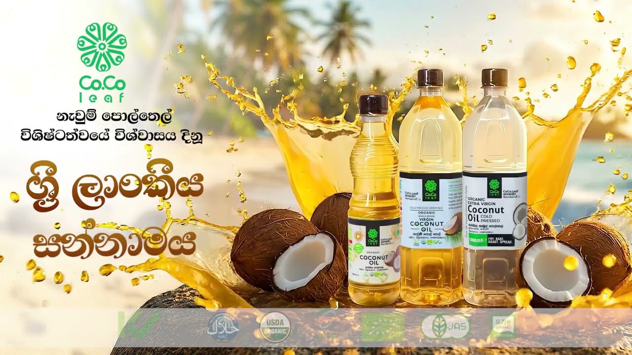 CoCo Leaf | MD Creations